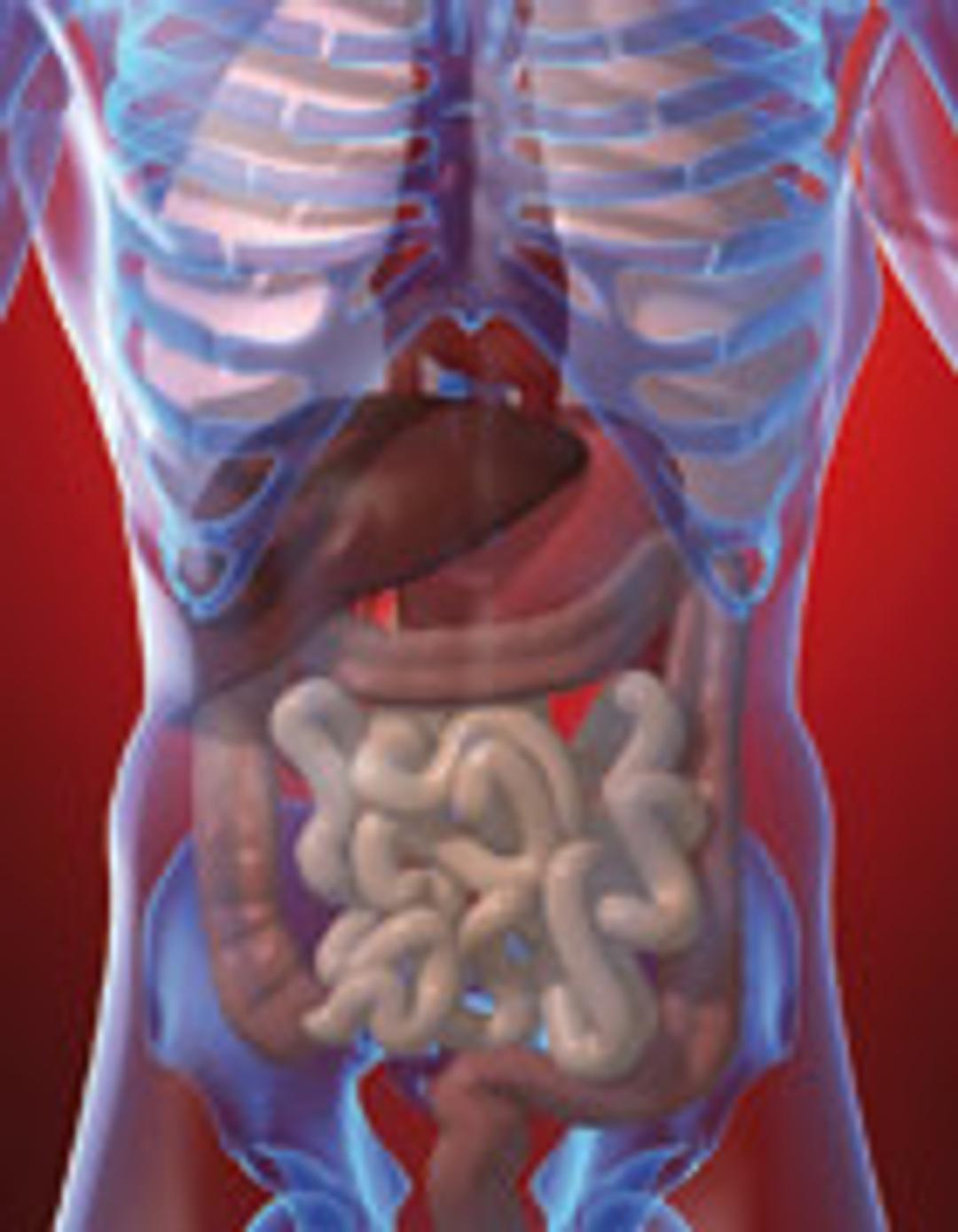 Ohutsuoli on 3-6 metriä pitkä | Terve.fi