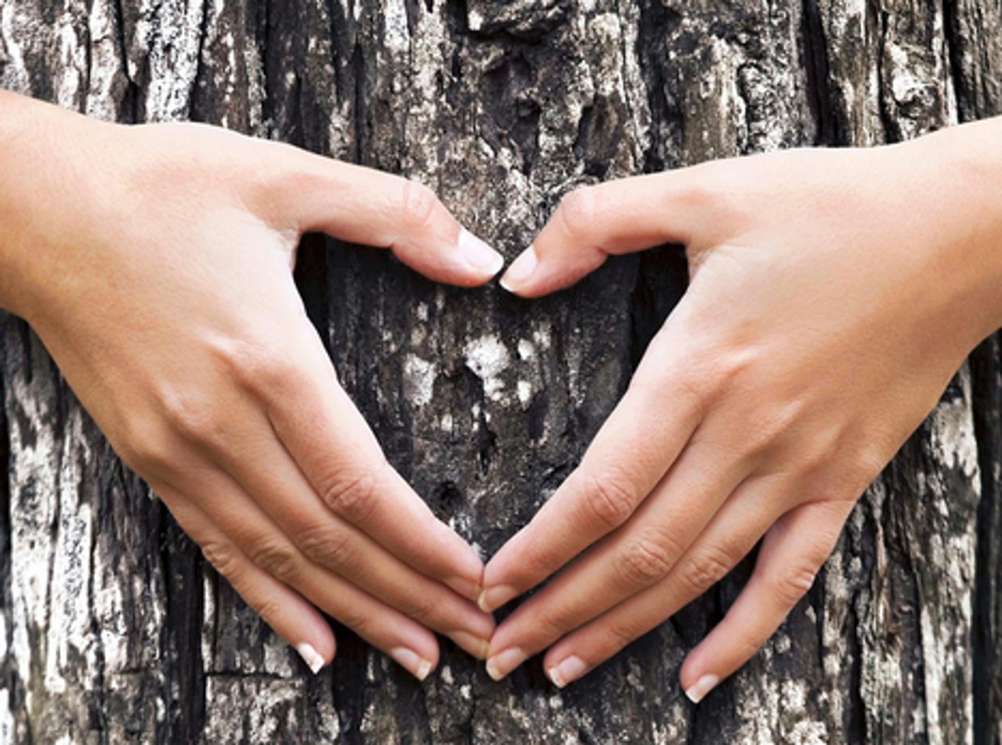 Rasvat - mitkä ovat sinulle hyväksi? | Terve.fi